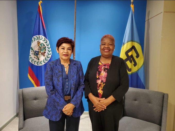 CEO Mai’s courtesy meeting with Executive Director of UNFPA - Ministry ...